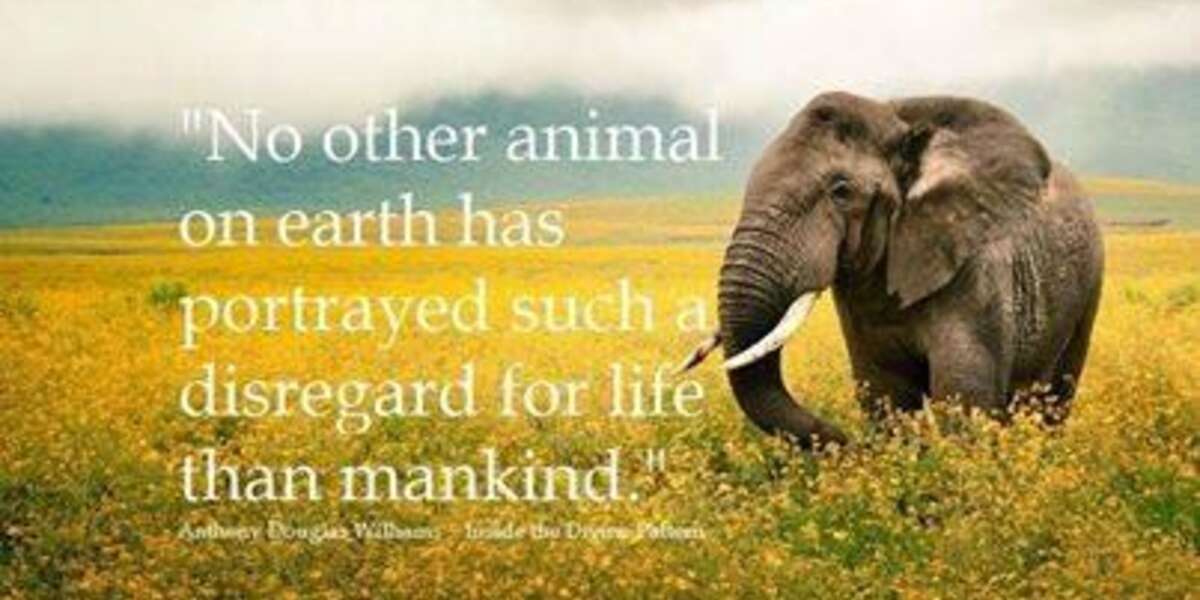 No other animal on earth has portrayed such a disregard for life than ...