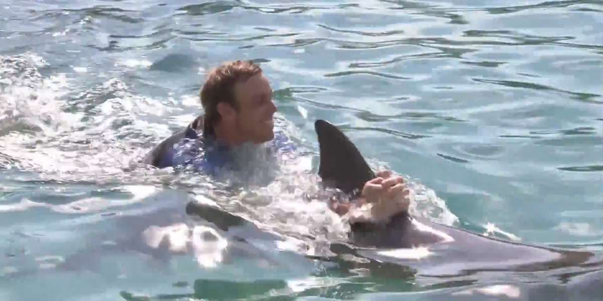 Kimberlyrules — Swimming with Dolphins, documentary “the dark... - The Dodo