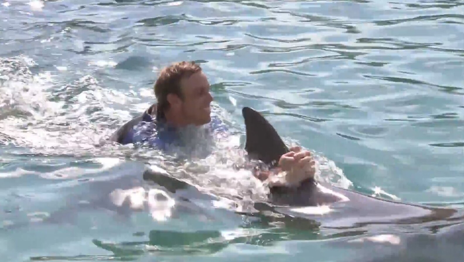 Kimberlyrules — Swimming with Dolphins, documentary “the dark... - The Dodo