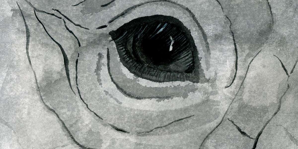 Land Beast, a novel to benefit rhinos and elephants - The Dodo