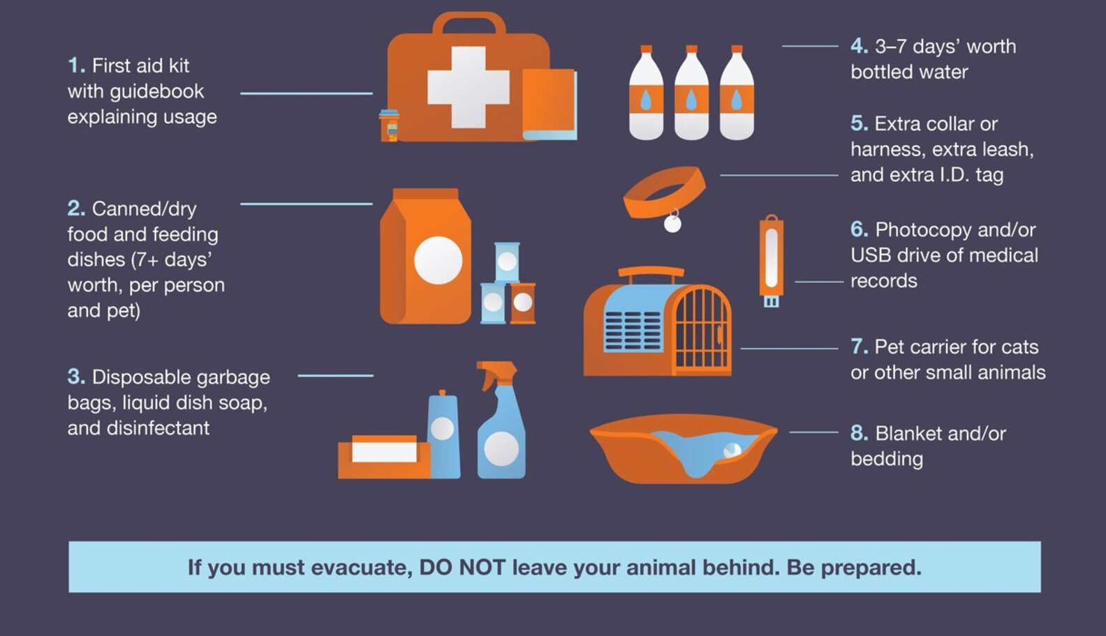 Here's How We Keep Our Pets Safe During A Hurricane - The Dodo