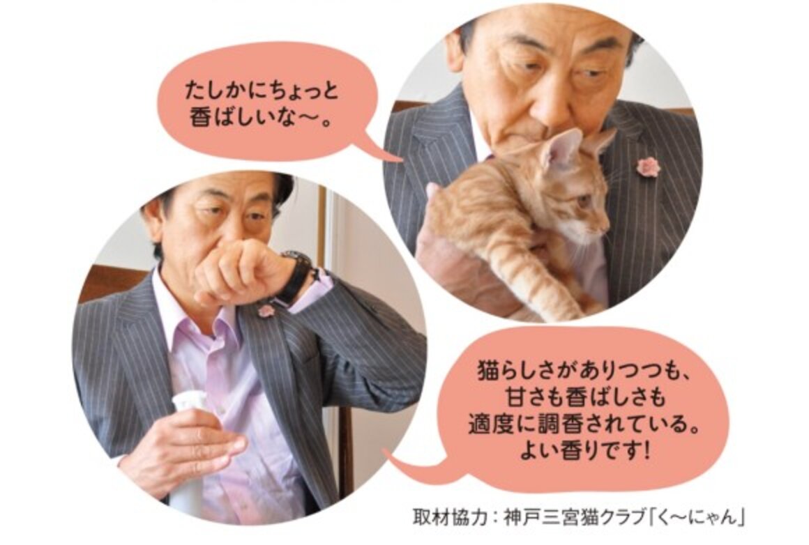 Feline-Inspired Fragrance Makes Everything Smell Like Cats - The Dodo