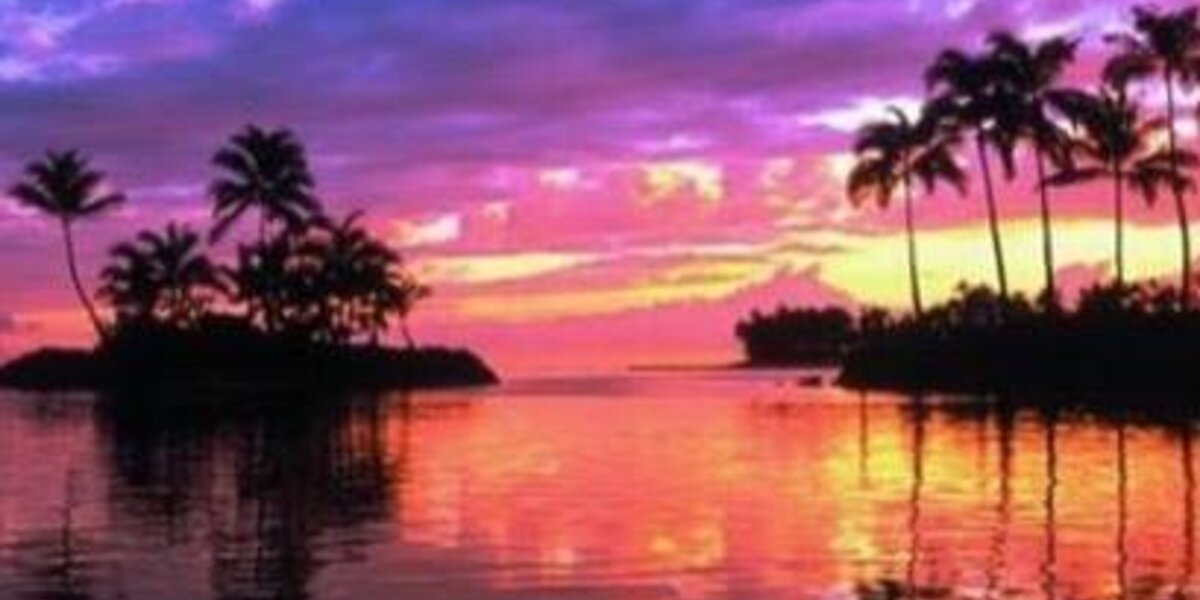 Melanie Barrett - The Dodo