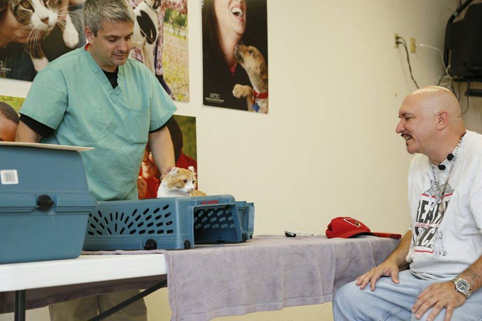 Brave Man Rescues Cat From Freeway When Everyone Else Said No - The Dodo