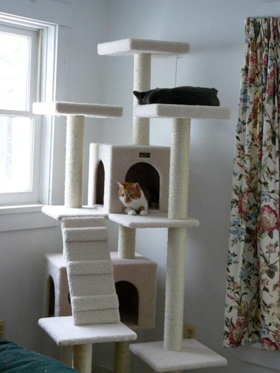 My cats just love their new cat tower - The Dodo