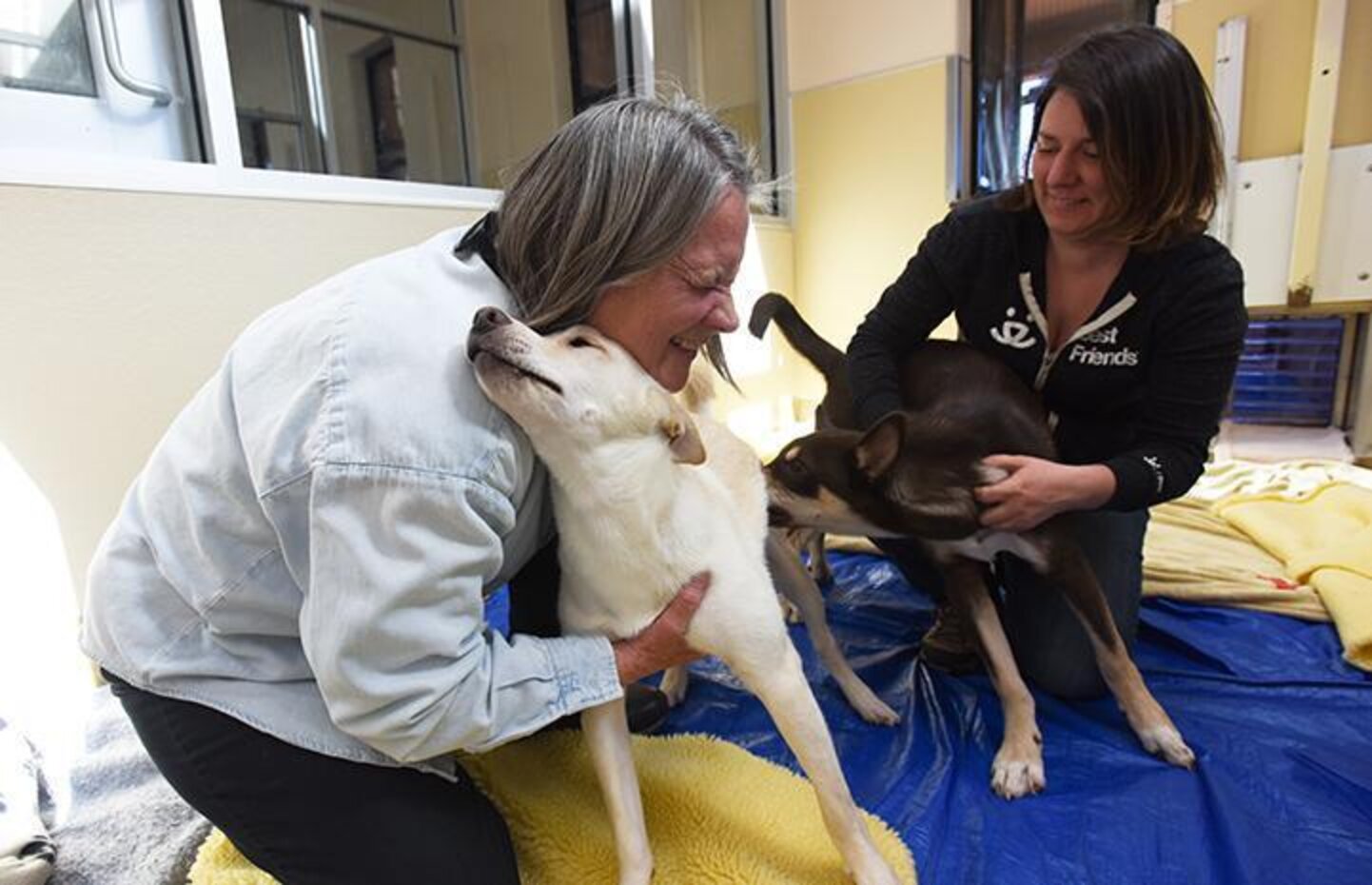 Special Needs Puppies At Shelter Help Each Other - The Dodo