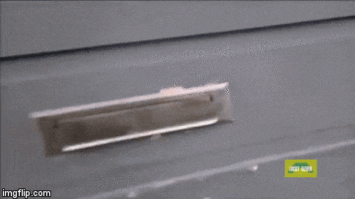 Mailman Gets Attacked By An Angry ... Cat - The Dodo