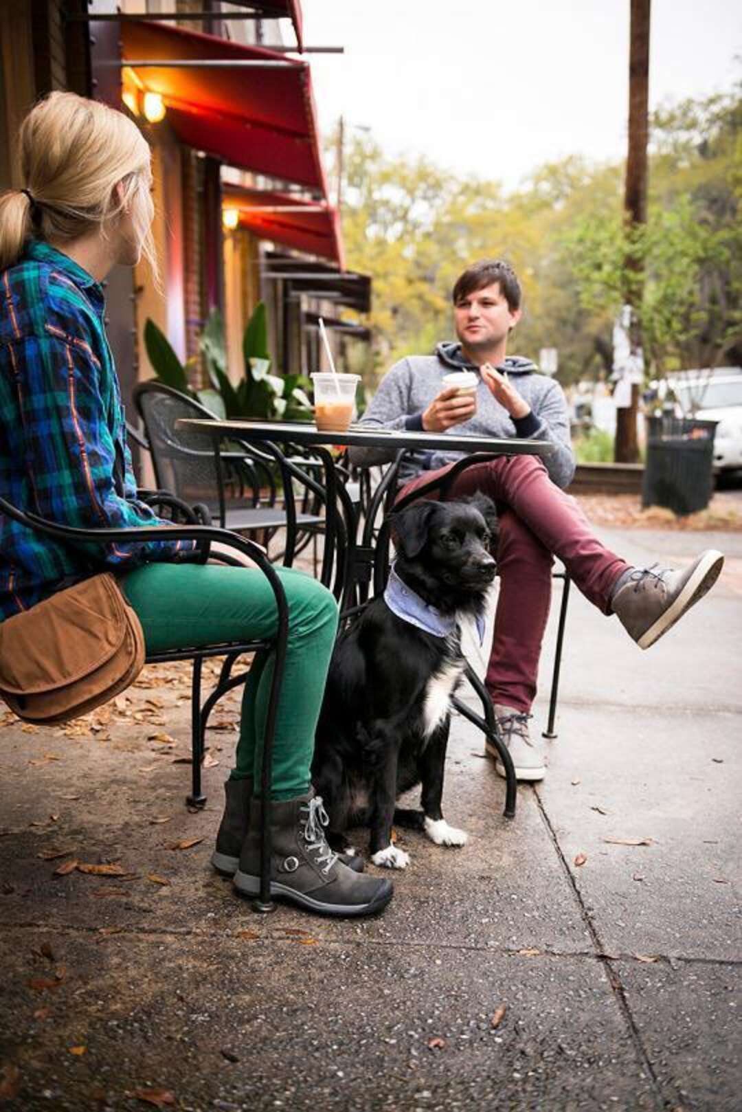 I Found The Most Dog Friendly City In The Country The Dodo i-found-the-most-dog-friendly-city-in-the-country-the-dodo
