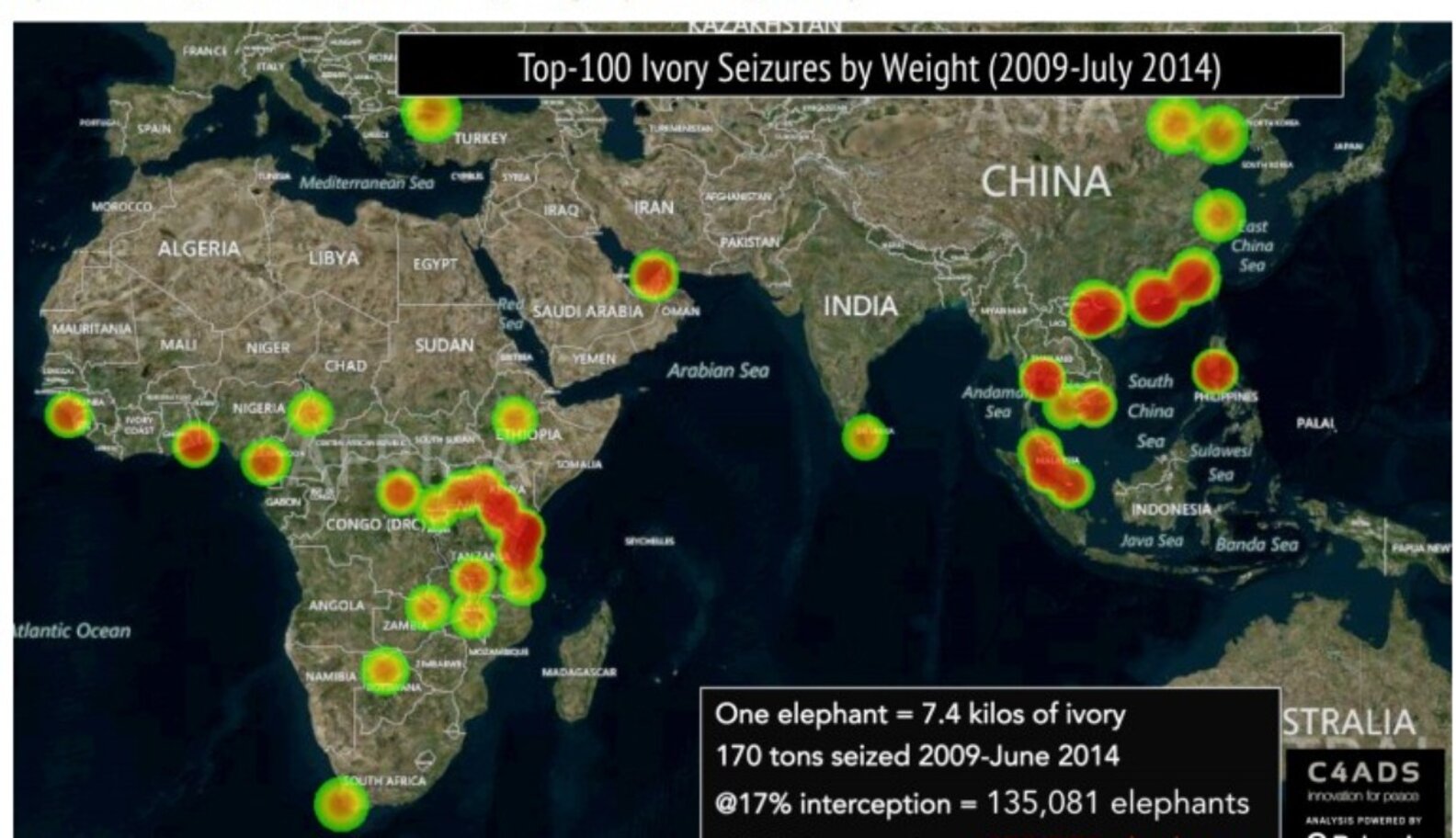 From Tusks To Trinkets: Tracing The Illicit Ivory Trade Back To Its ...