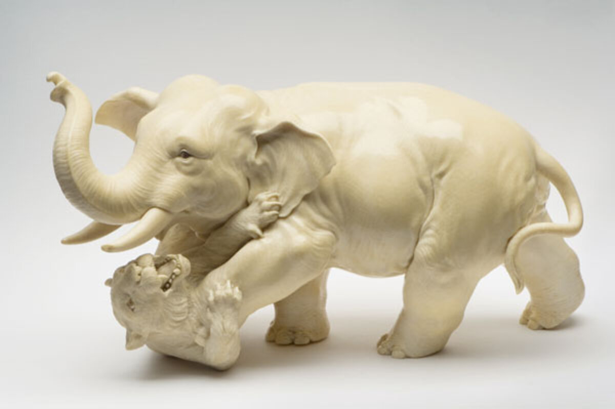 6 Tons Of Ivory Set Ablaze 'To Secure A Future With Elephants' - The Dodo