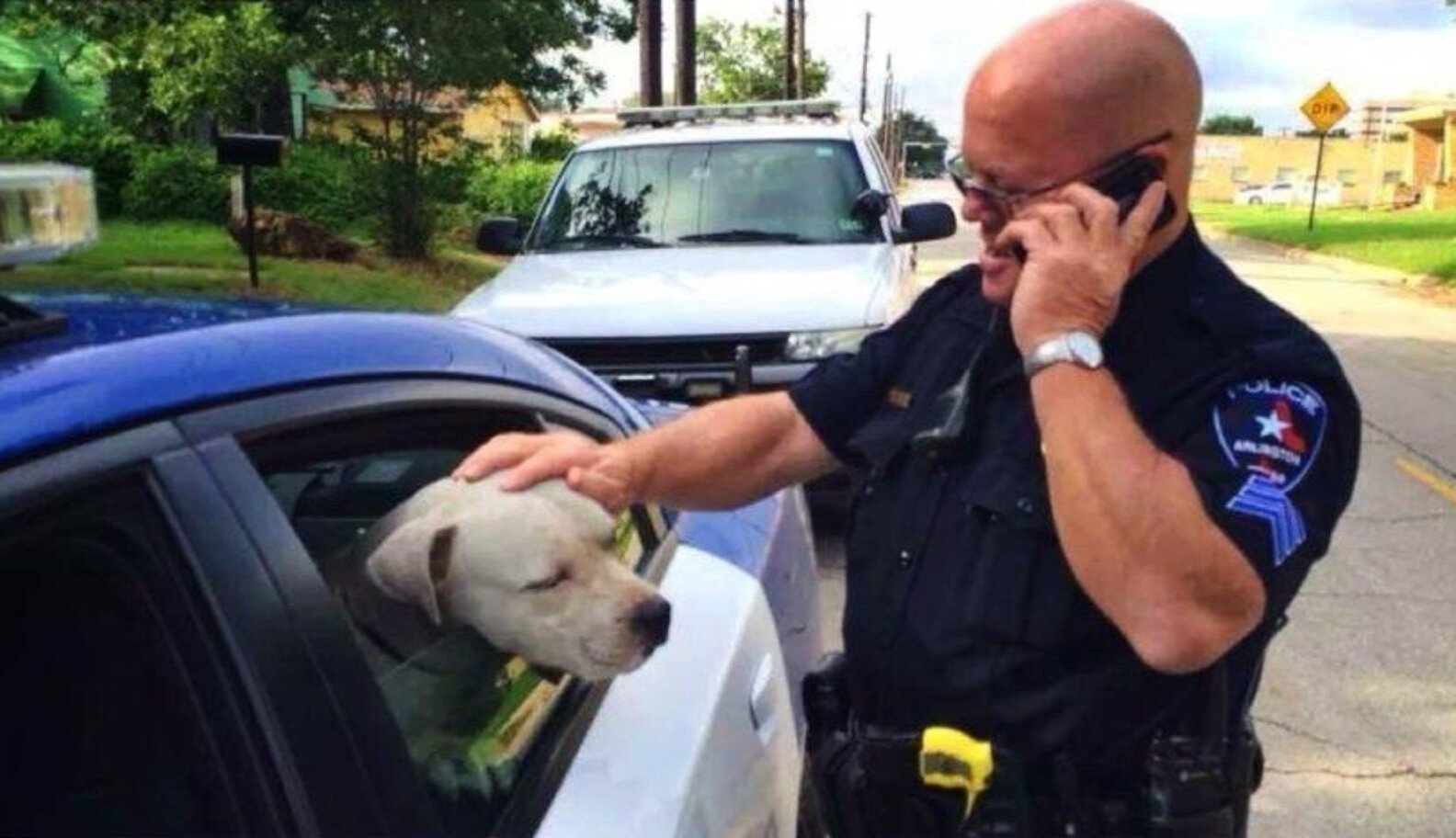 Cop Responds To Report Of 'Aggressive' Stray Pit Bull, Then Decides To ...