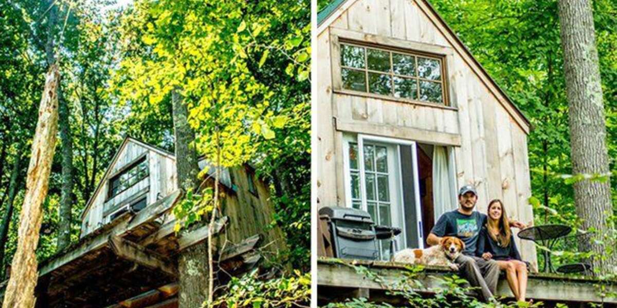 This romantic tiny forest home was built in 6 weeks for $4,000 - The Dodo