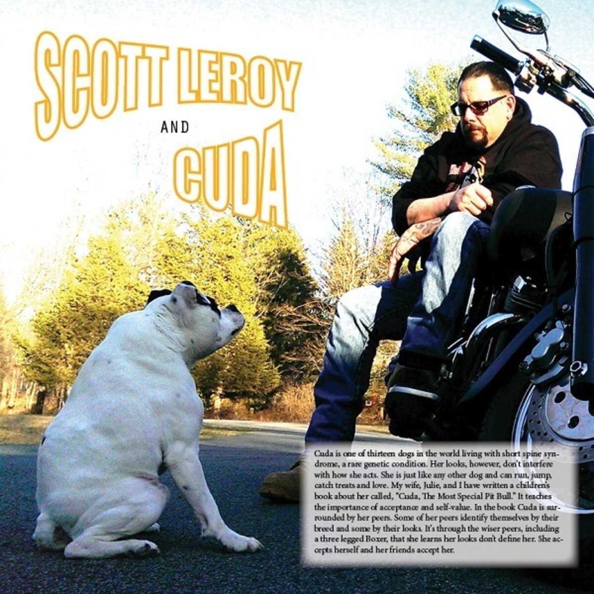 No, This Wasn't Photoshopped. It's What Happens When Idiots Breed Dogs ...