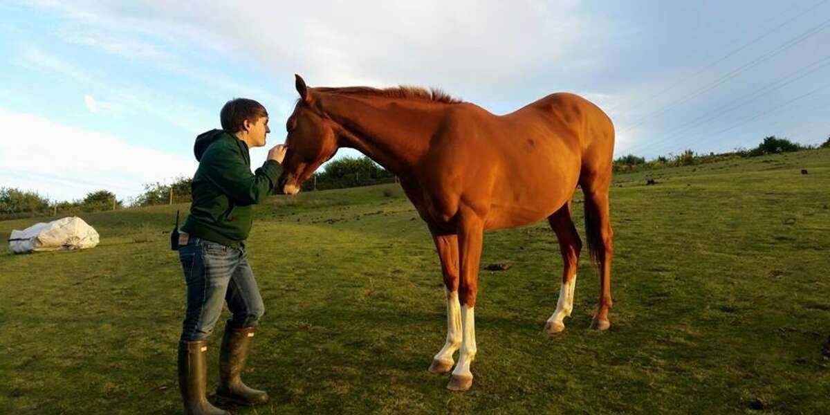 Jake Knight - The Dodo