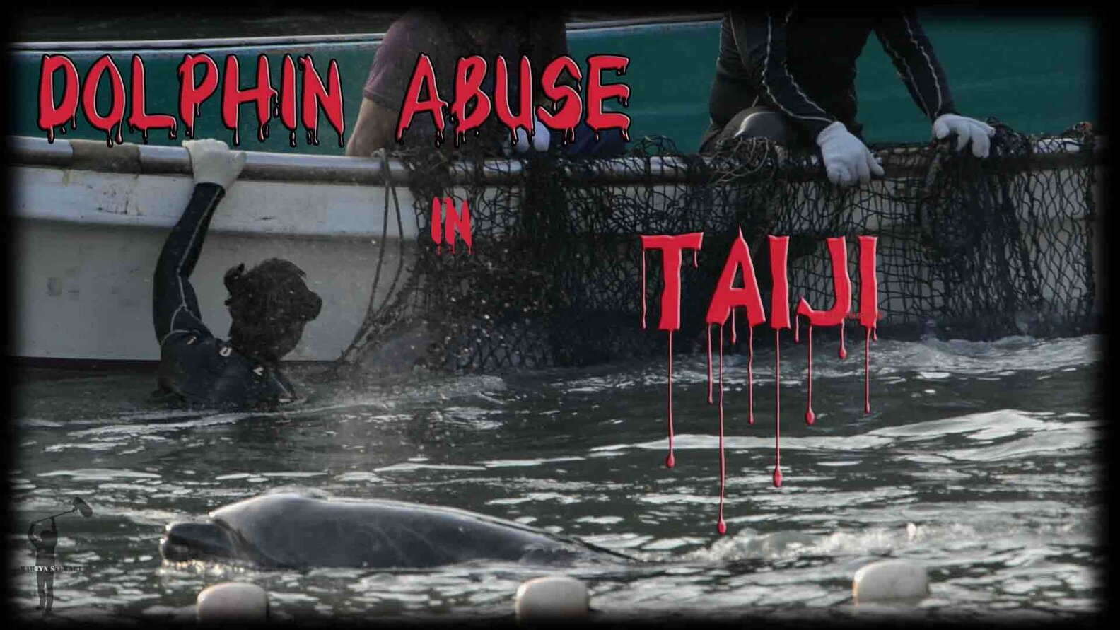 Dolphin abuse in Taiji - The Dodo
