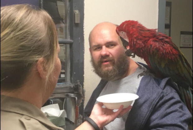 Here's The Sweet Story Behind This Parrot's Mug Shot - The Dodo