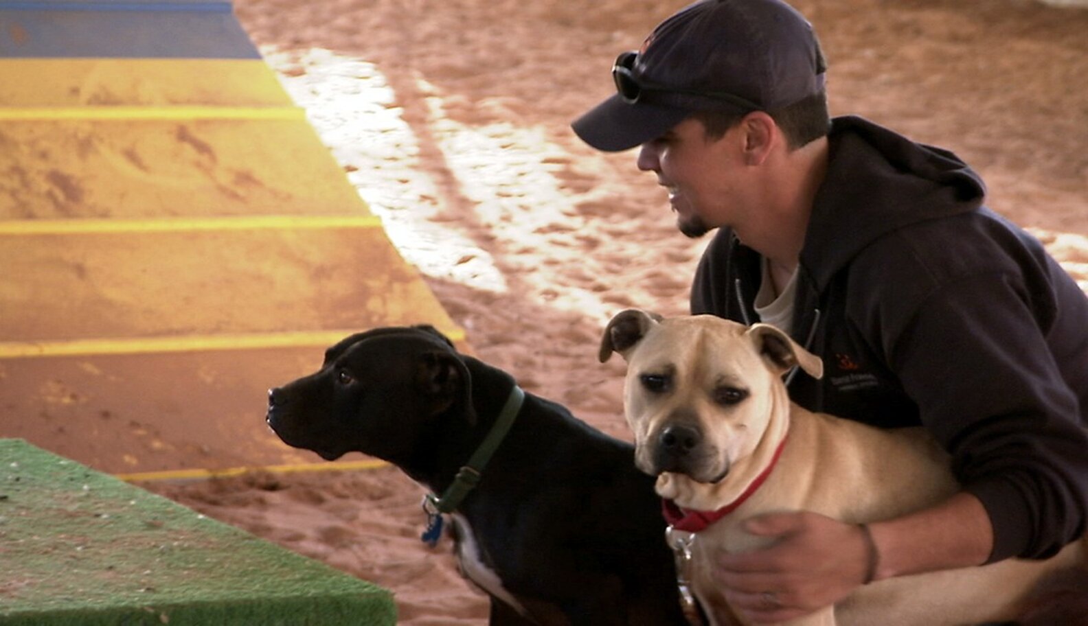 Dog Rescued From Michael Vick's Fighting Ring Is A Kissing Machine ...