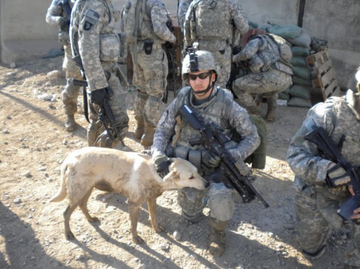 18 Loving Animals Who Befriended Soldiers Overseas - The Dodo