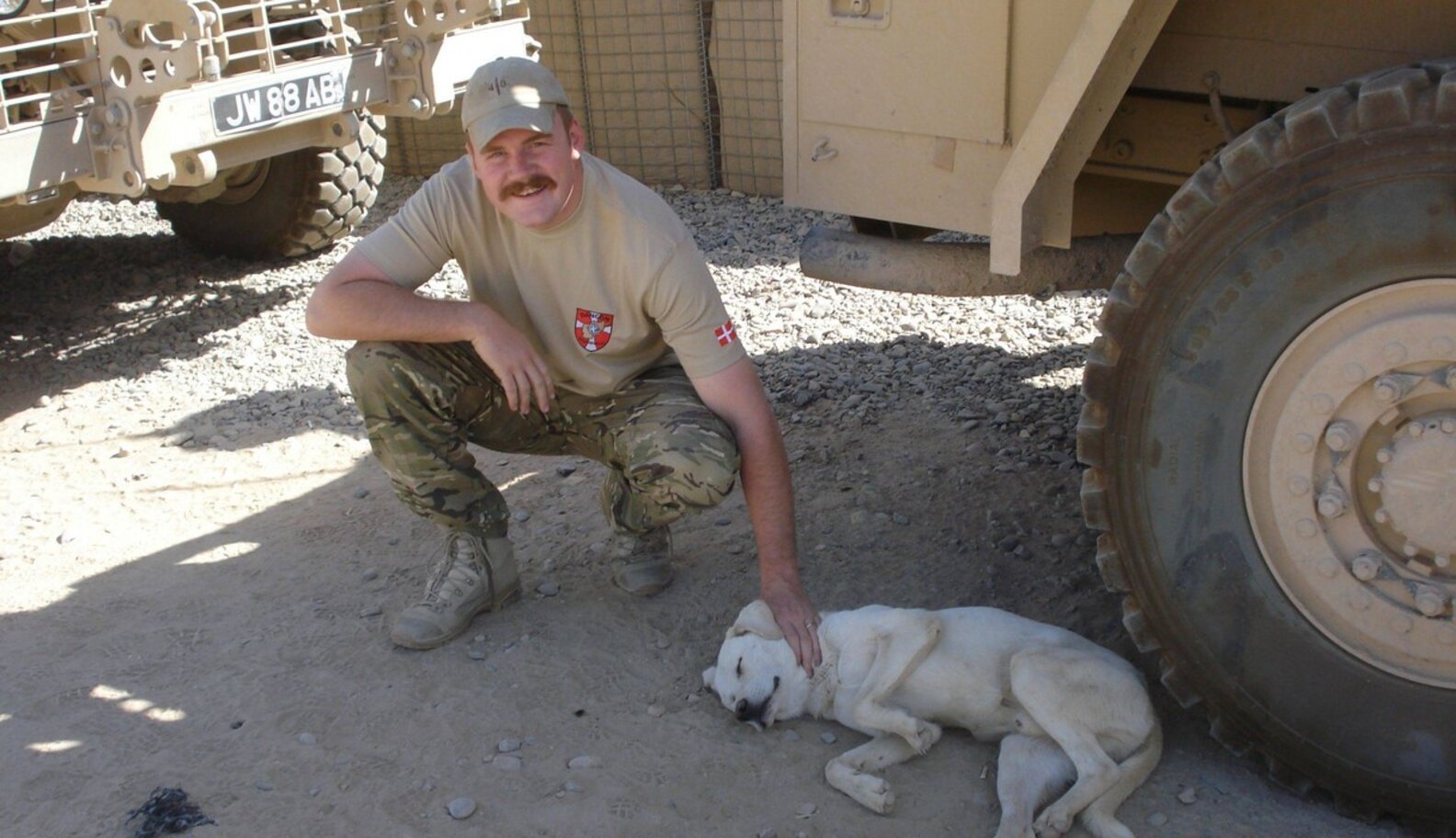 18 Loving Animals Who Befriended Soldiers Overseas - The Dodo