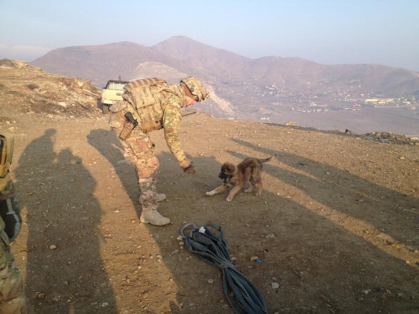 18 Loving Animals Who Befriended Soldiers Overseas - The Dodo