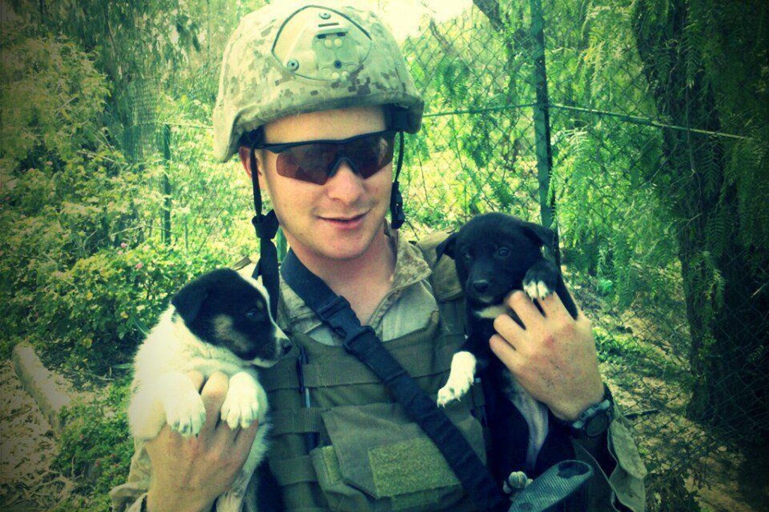 18 Loving Animals Who Befriended Soldiers Overseas - The Dodo