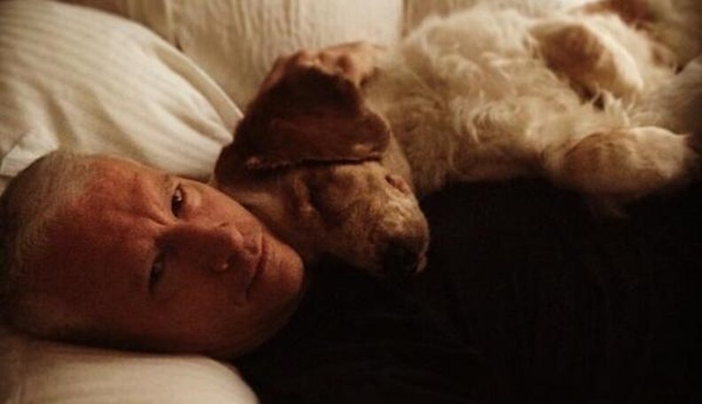 Anderson Cooper Shares Touching Photo Of His Dog Who Passed Away - The Dodo