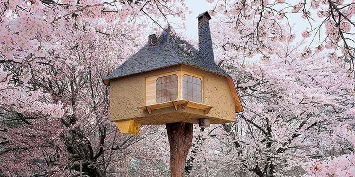 Amazing Houses That Will Make You Want To Be A Bird - The Dodo