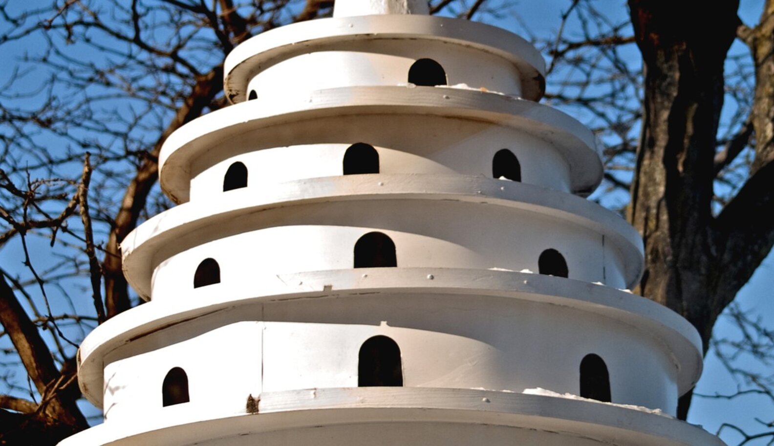 Amazing Houses That Will Make You Want To Be A Bird - The Dodo