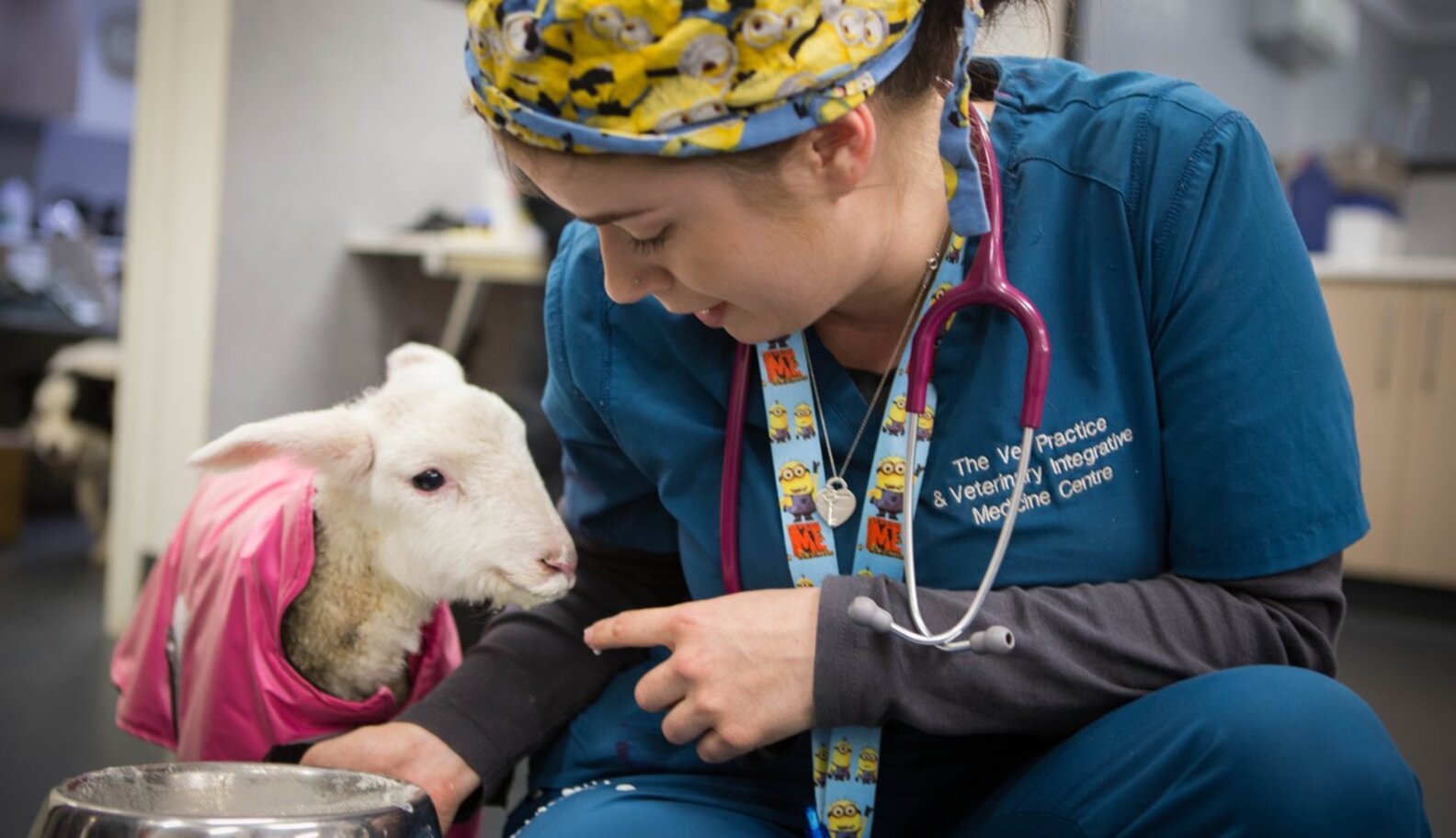 Tiny Lamb Wouldn't Stop Crying — Until Rescuers Realized What Was Wrong ...