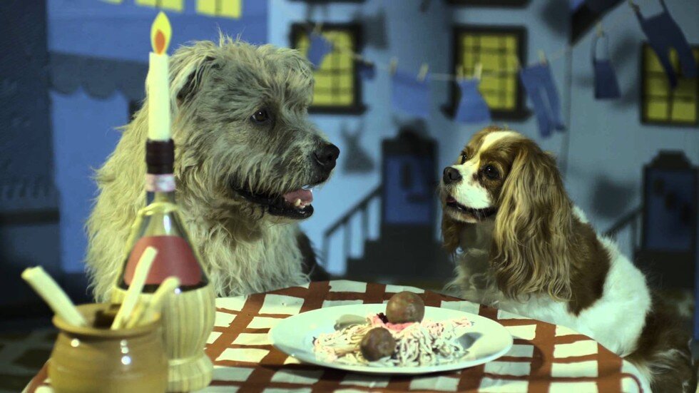 Cartoon Animals in Real Life - The Dodo