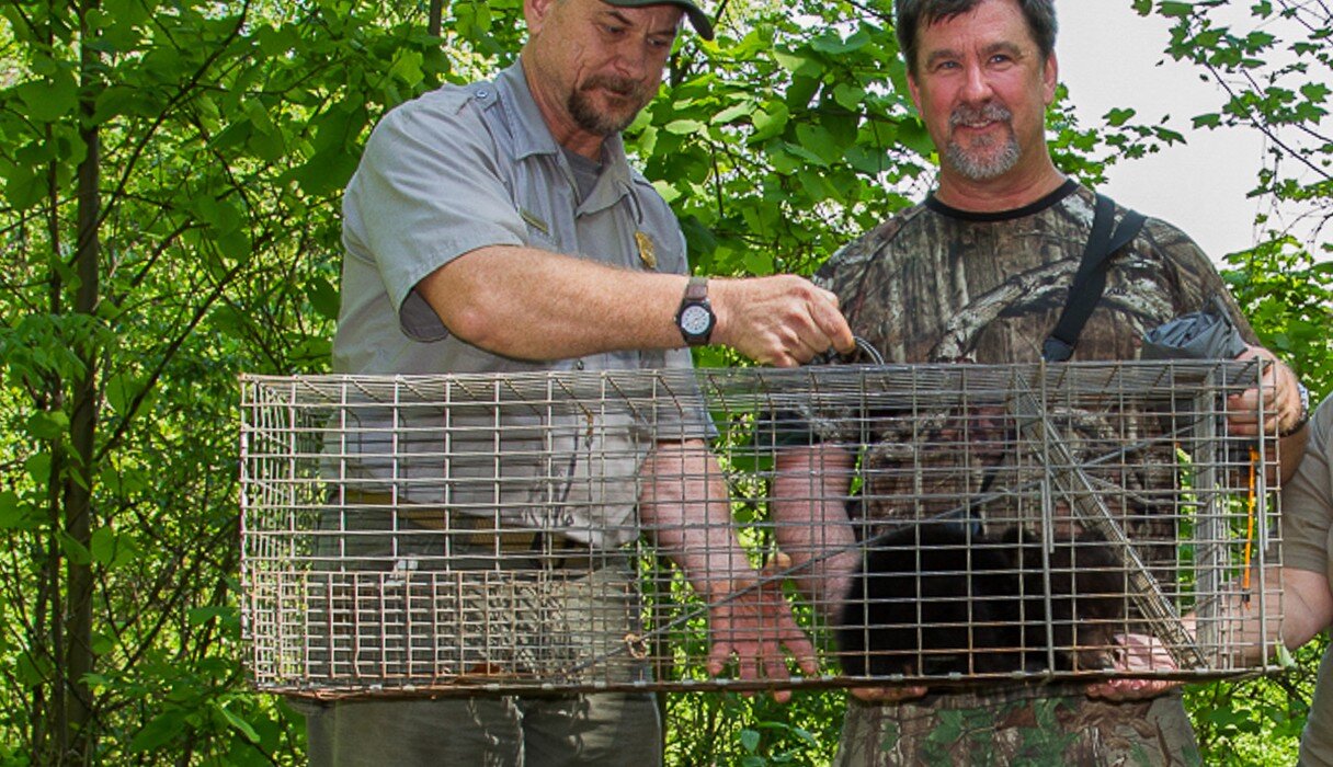 I Found An Orphaned Bear Cub And Knew I Had To Try To Save His Life ...