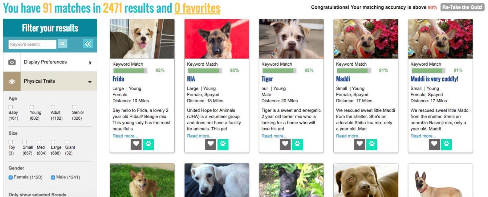 This Website Will Help You Find The Perfect Rescue Dog - The Dodo