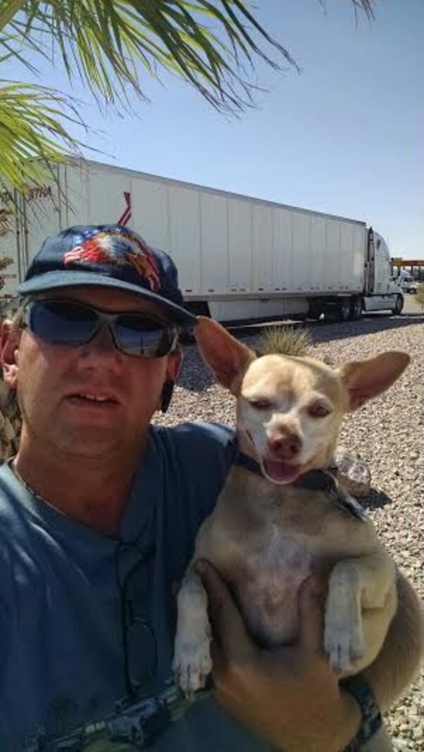 Man Spends $95,000 On Truck Because His Rescue Dog Likes It Best - The Dodo