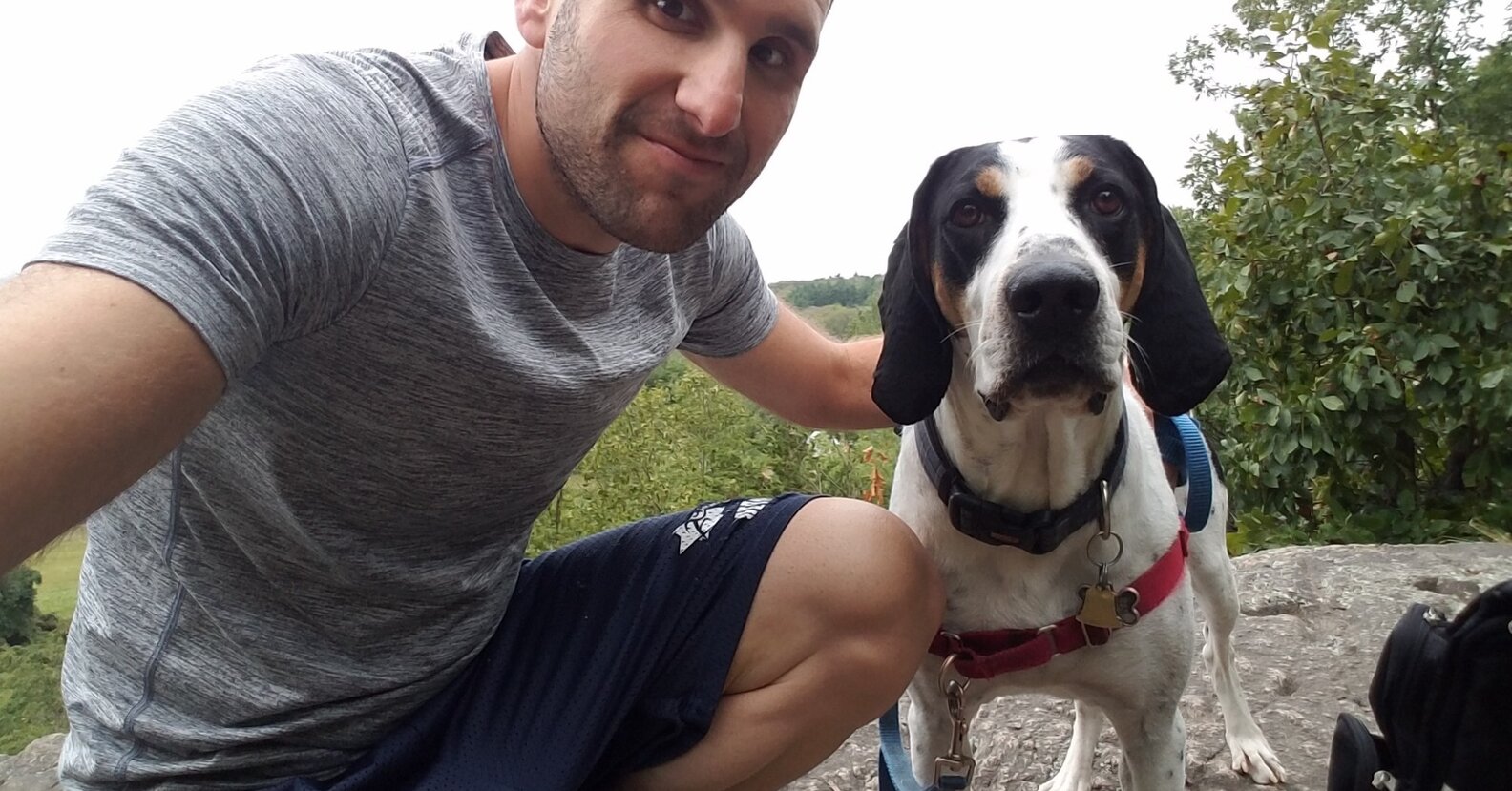 Dog Given Up Because He Wouldn't Hunt Is So Loved Now - The Dodo