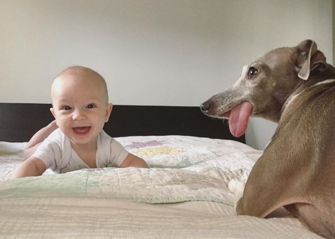 Rescue Dog Was So Scared Of Everything Until Her Baby Brother Arrived ...