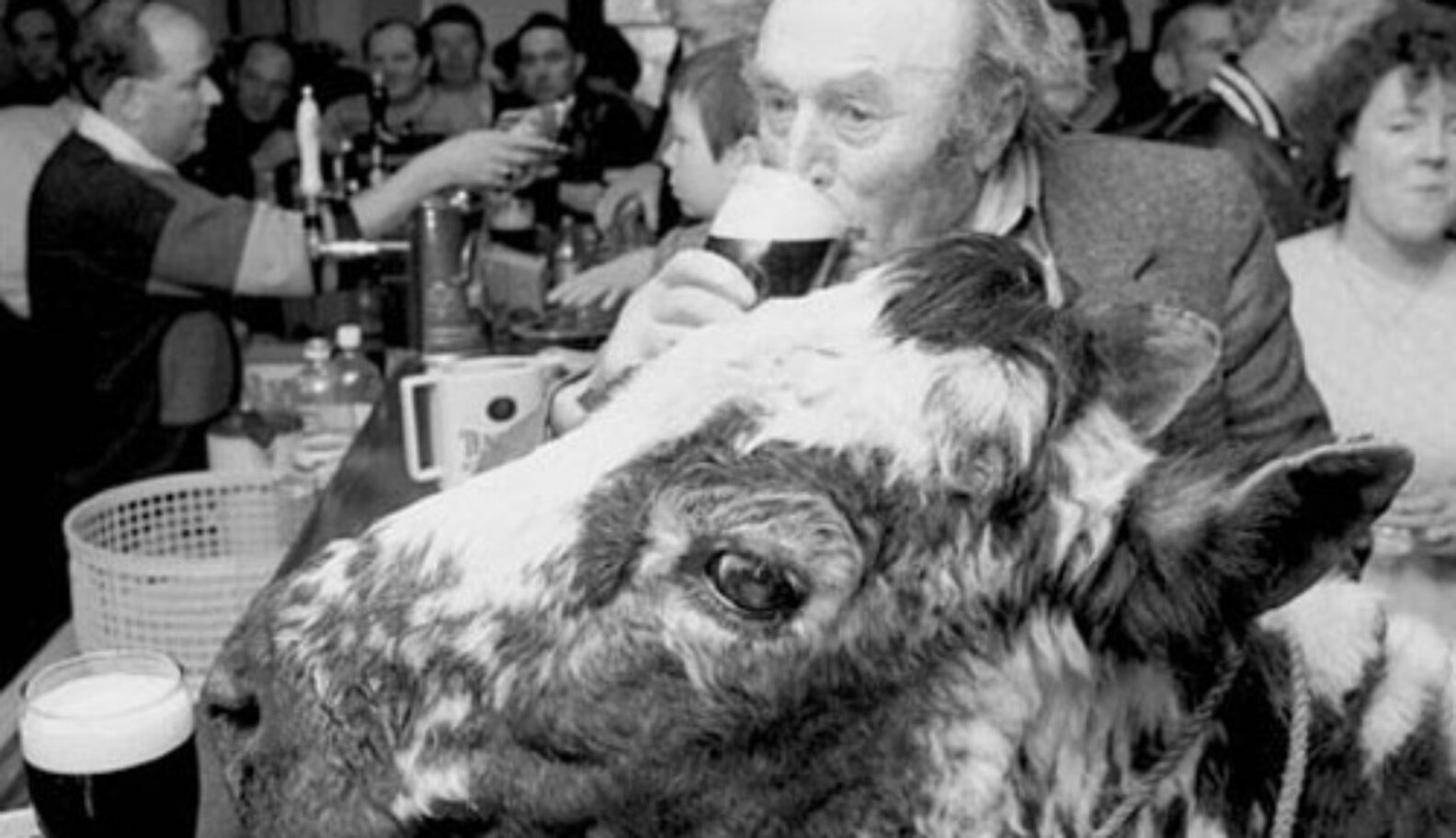 A 182-Year-Old Tortoise And The 6 Other Most Mindblowingly Old Animals ...