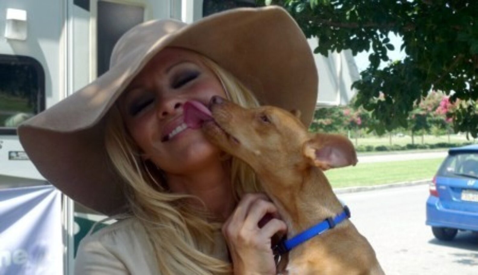 Pam Anderson Credits Animals With Comforting Her Through An Abusive ...