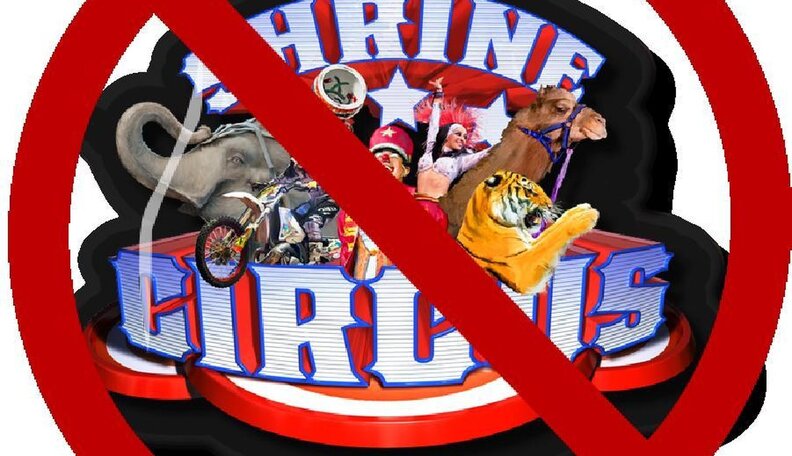 Protest against Arizona Shrine Circus, September 11th-13th - The Dodo