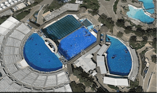SeaWorld Cares THIS MUCH More About Cars Than Killer Whales - The Dodo