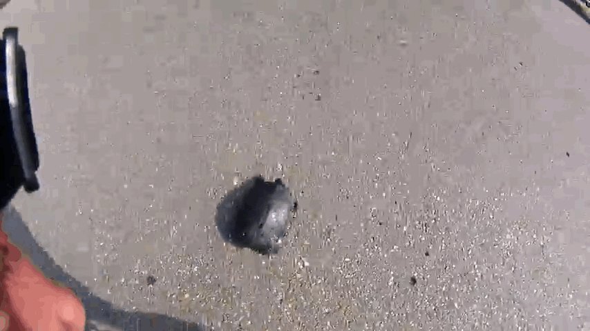 5 Extremely Fast Turtles That Will Revolutionize The Way You Think ...