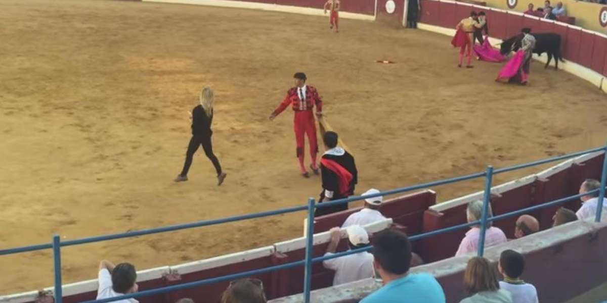 Brave Woman Jumps In Ring To Stop Barbaric Bullfight - The Dodo