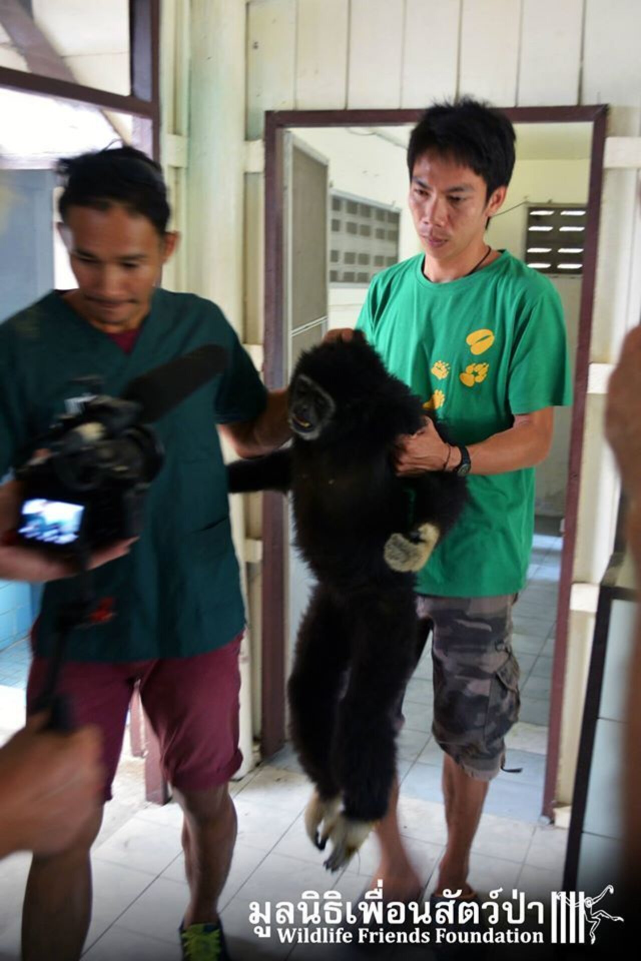 Sad Ape Found Cowering On Toilet Is Rescued From Her Lonely Life - The Dodo