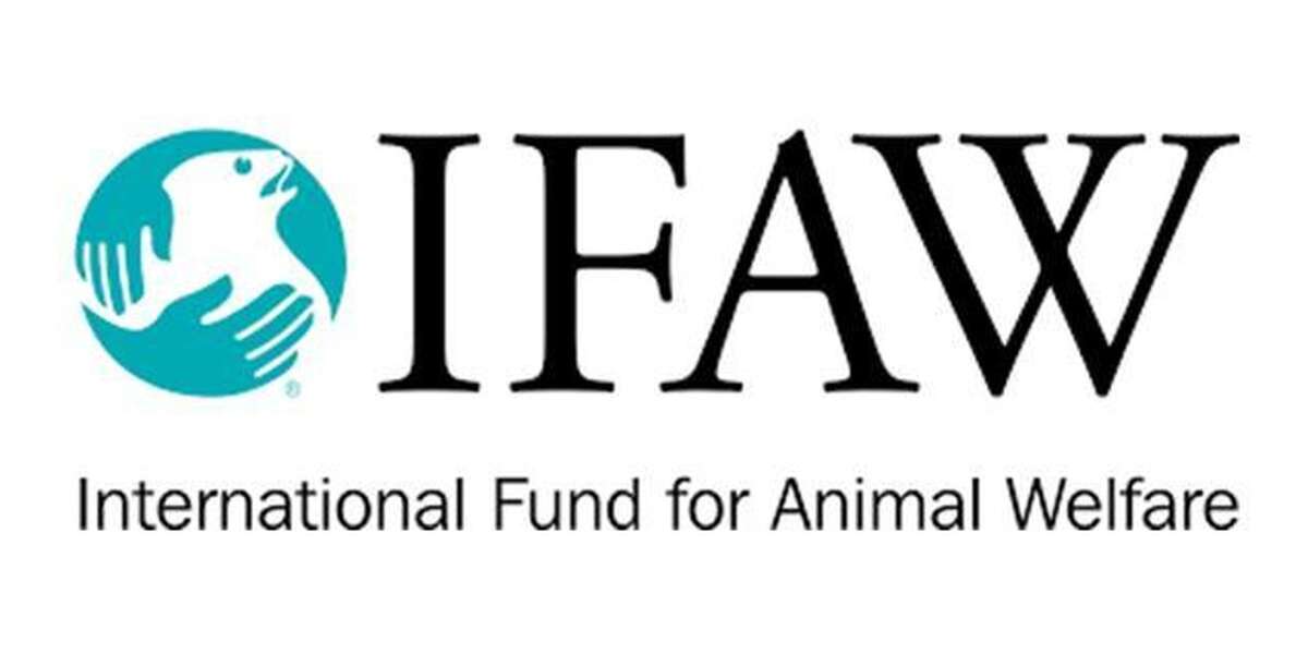 Make A Donation To IFAW - The Dodo