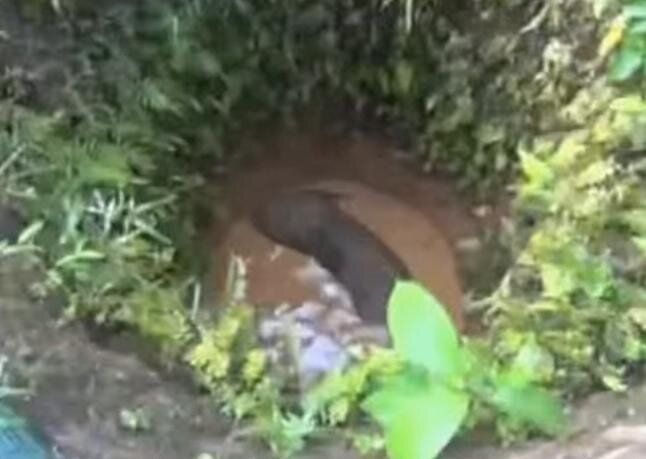 Little Elephant Stuck In A Well Brings Out The Best In Humanity - The Dodo