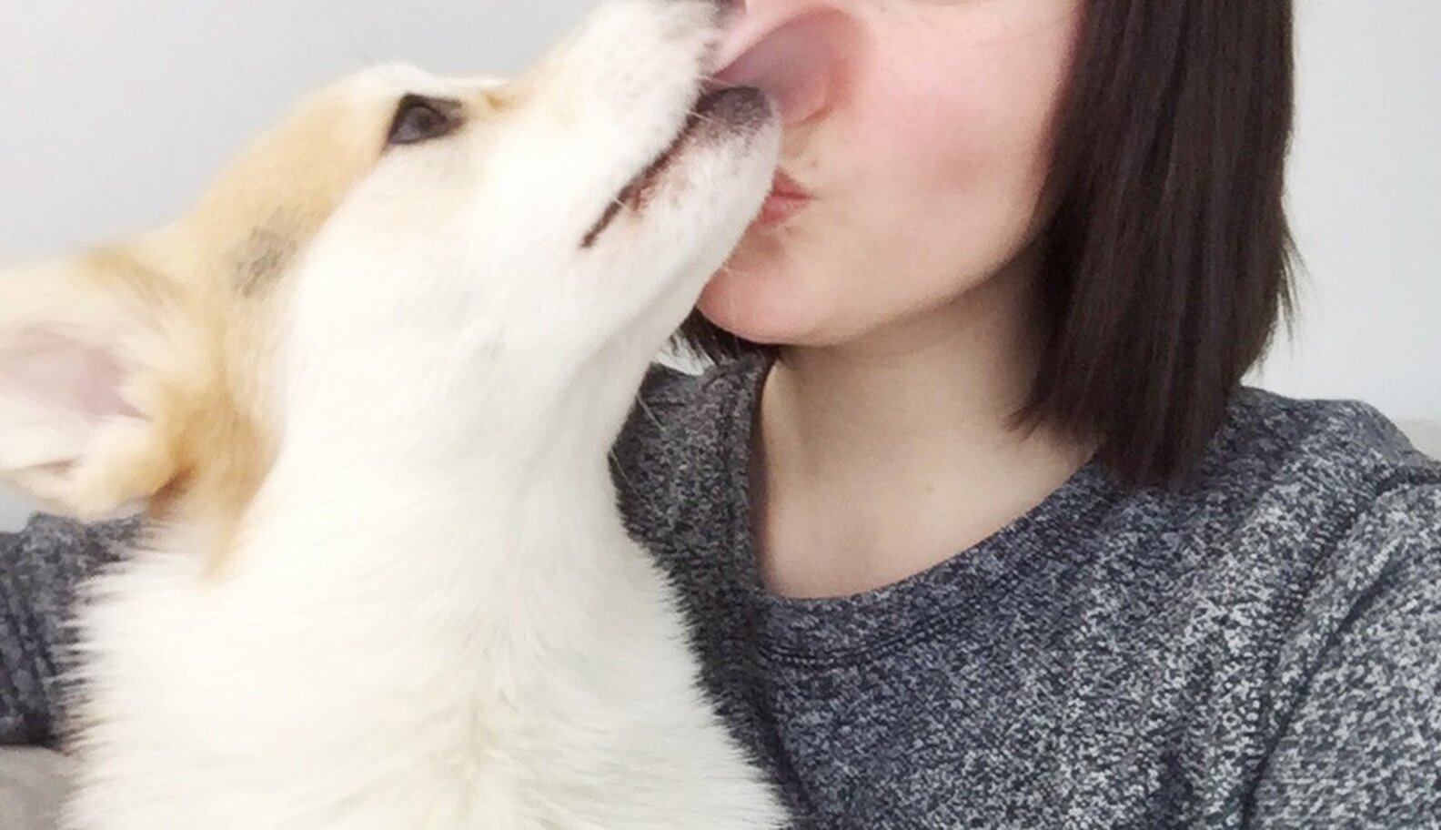 People From Every Country On Earth Are Obsessed With Their Dogs - The Dodo