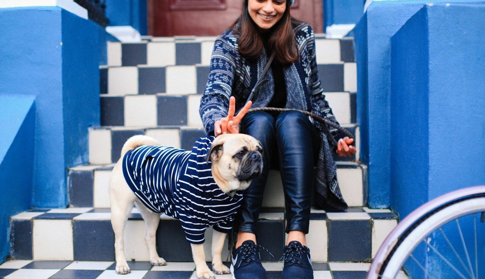 People From Every Country On Earth Are Obsessed With Their Dogs - The Dodo