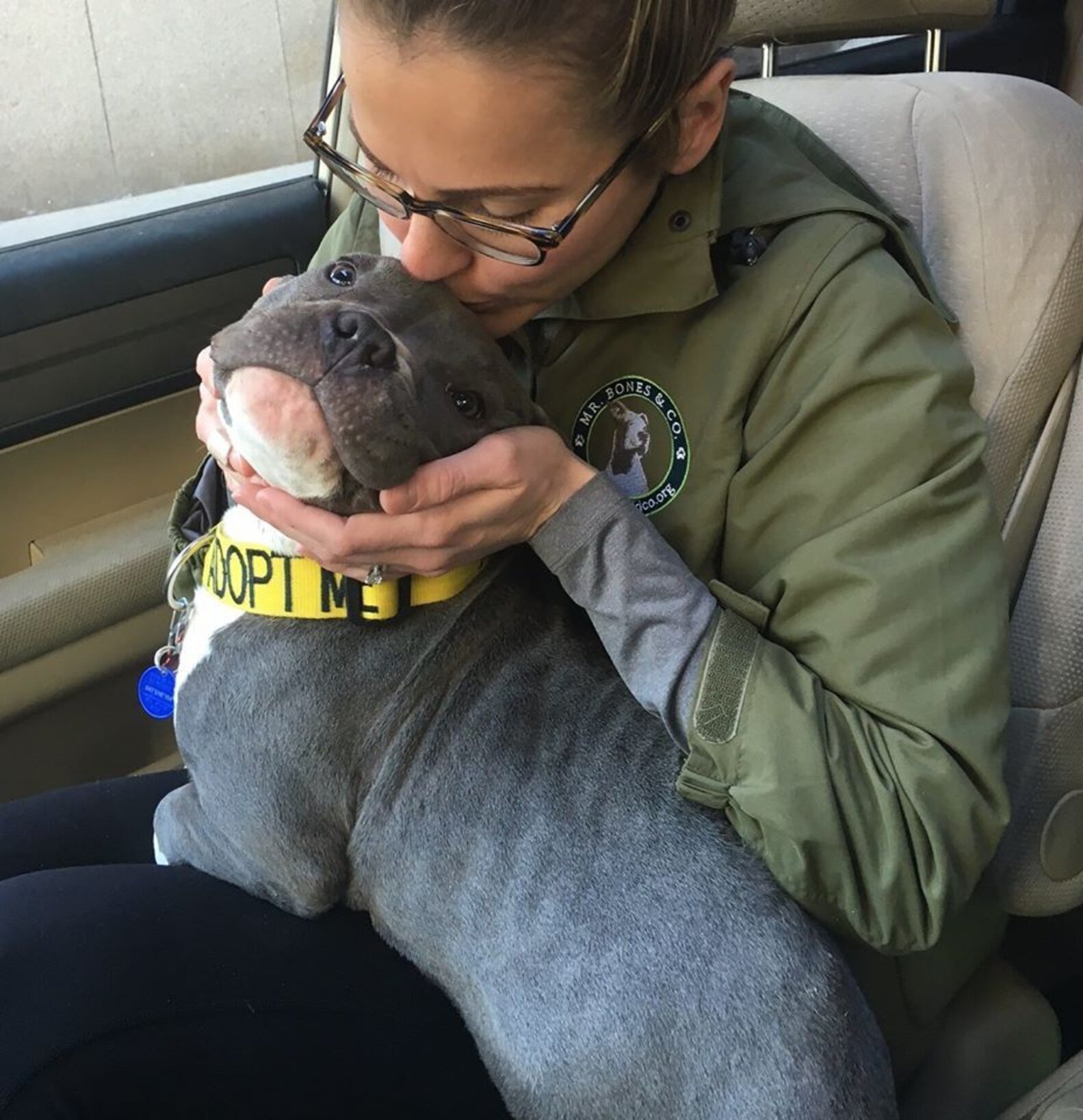 Woman Rushes To Shelter On New Year's Day To Save This Brave Little Dog ...