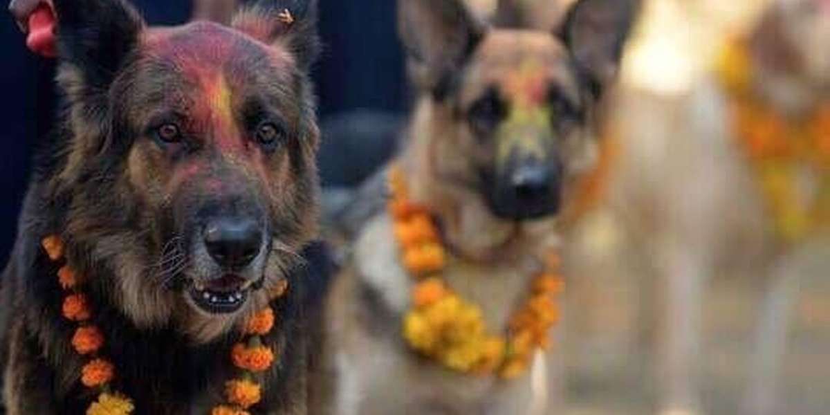 Dogs Thanked For Friendship And Loyalty In Most Beautiful Festival ...