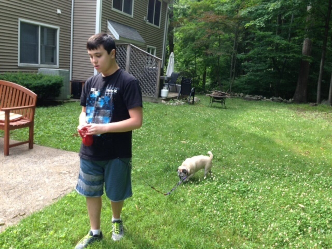 Loyal Pug Understands Autism Better Than Anyone Thought She Could - The ...