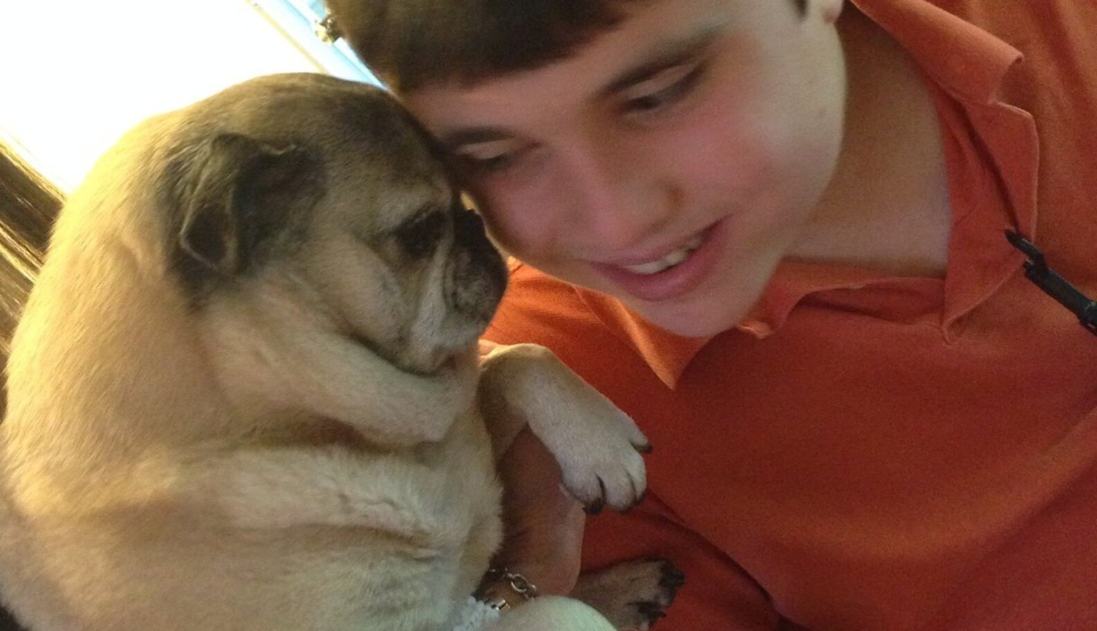 Loyal Pug Understands Autism Better Than Anyone Thought She Could - The ...